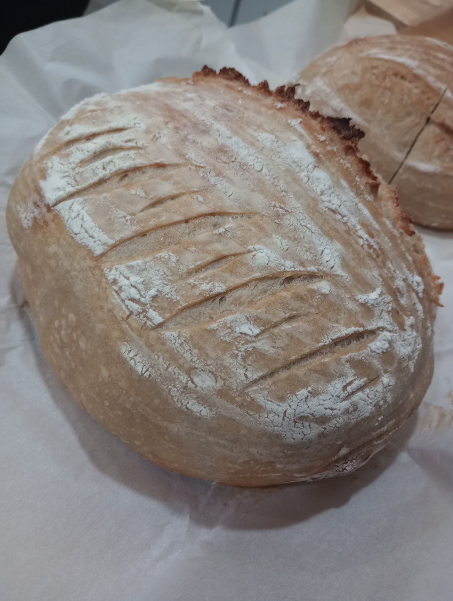 I’m Spoiled with Sourdough Blessings | Luke Austin Daugherty